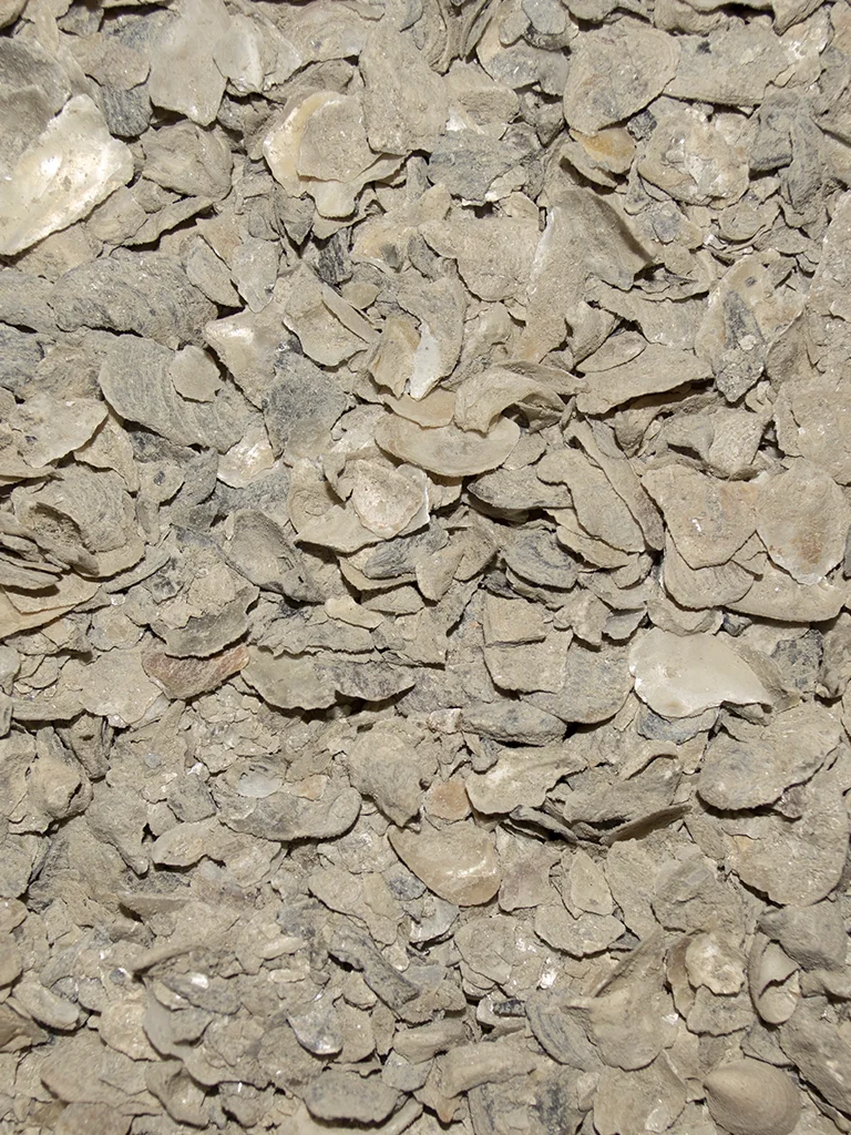 Oyster Shell Lay 50 lb - Volkman Pet Products